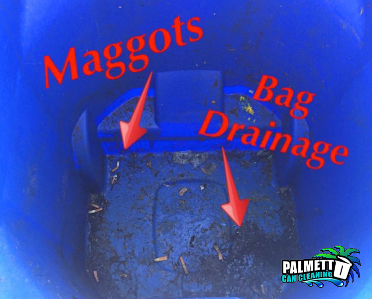 Trash Can Cleaning Process | Palmetto Can Cleaning | SC