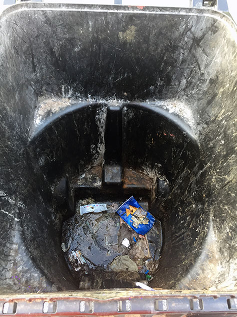 Trash Can Cleaning Process | Palmetto Can Cleaning | SC